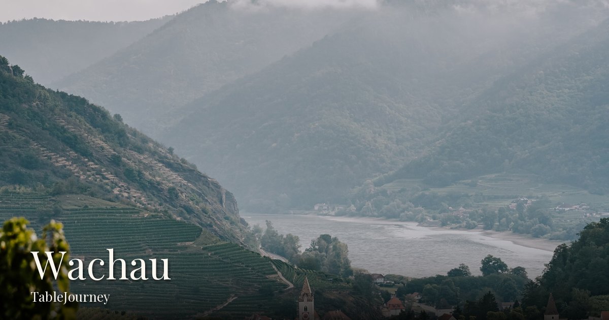 Wine Itineraries for Wachau | Cork & Curve